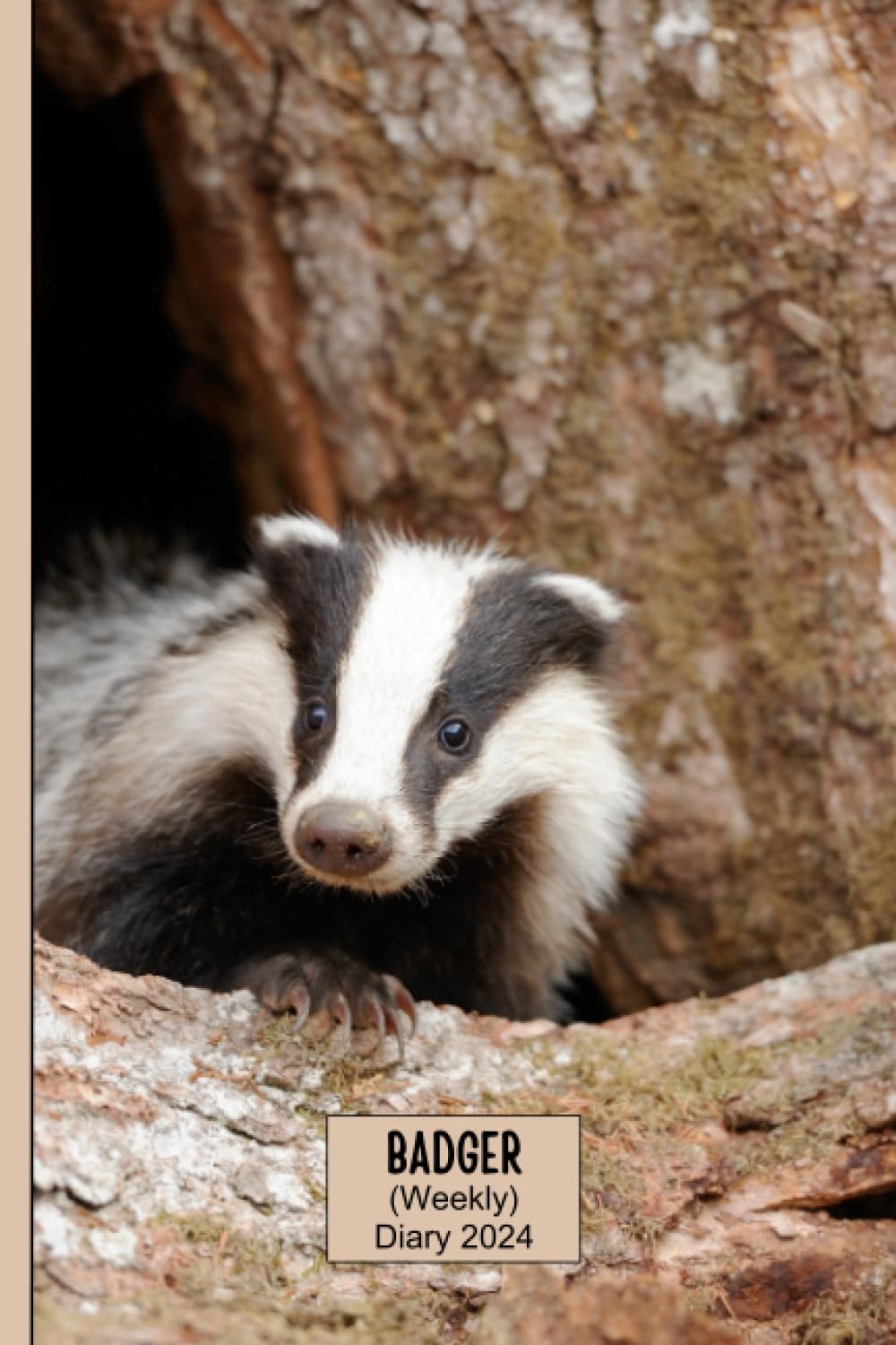 Badger Weekly Diary 2024: This Yearly Planner and Calendar has each ...