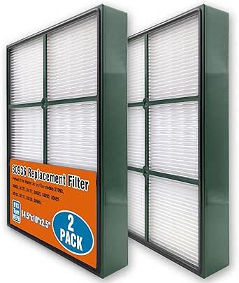 Amazon.com: OKKFITR 2 Pack - 30936 True HEPA Replacement Filter ...