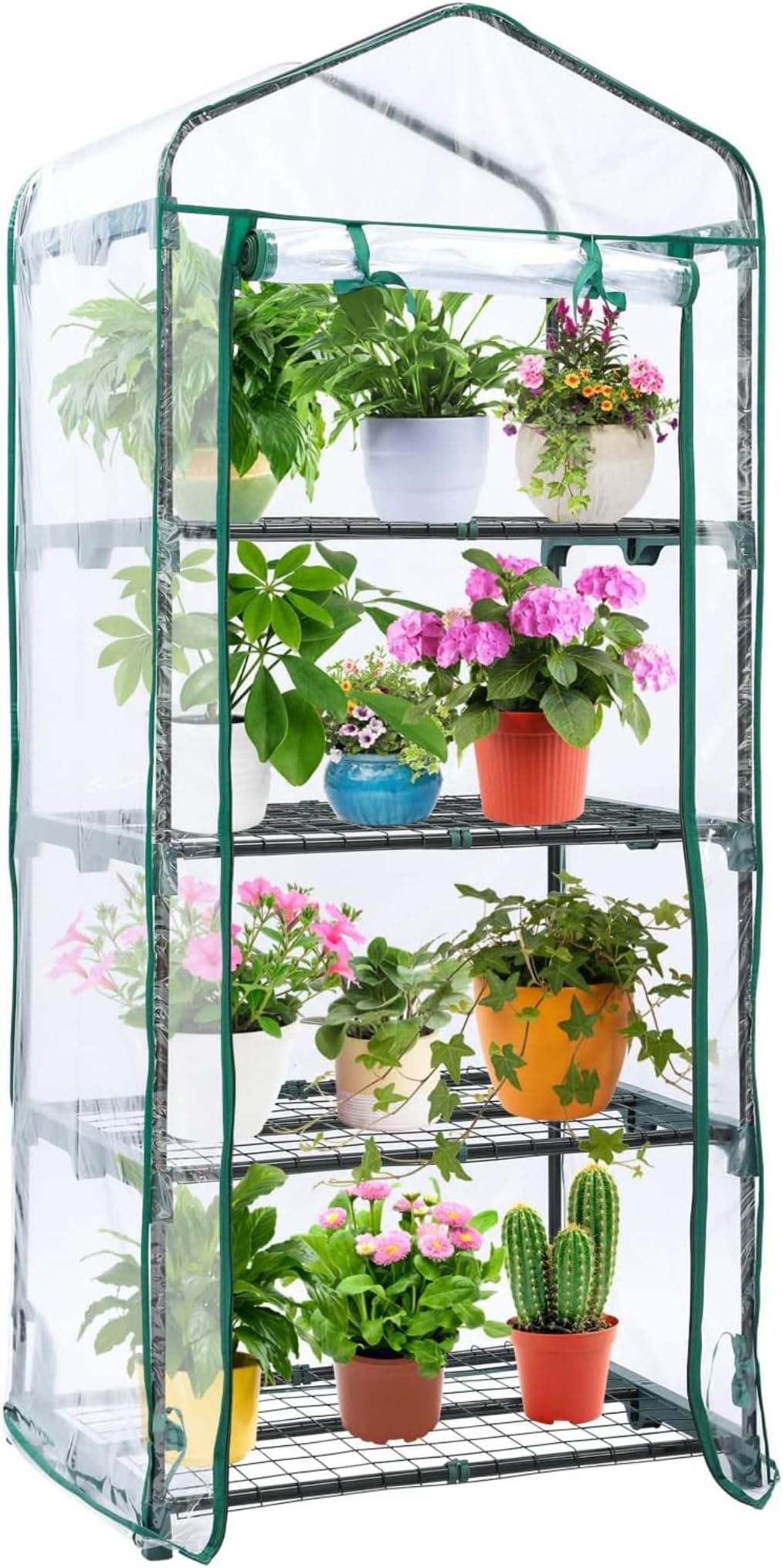 Amazon.com : 4 Tier Mini Greenhouse - Portable Greenhouse with Locking ...