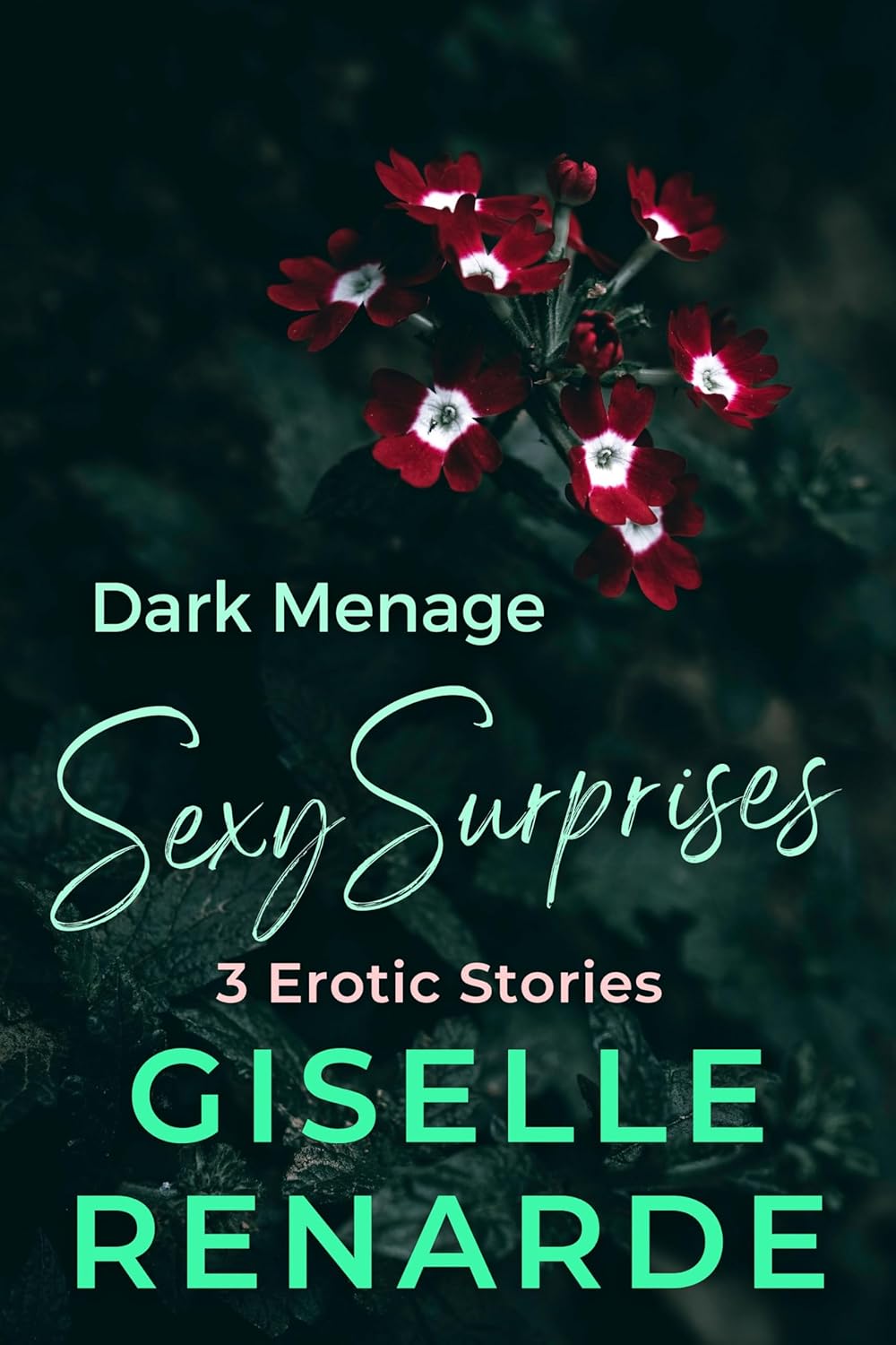 Dark Menage Sexy Surprises: 3 Erotic Stories - Kindle edition by Renarde, Giselle. Literature ...