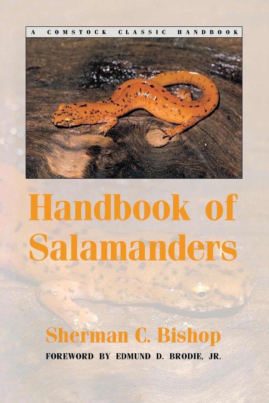 Handbook of Salamanders: The Salamanders of the United States, of ...
