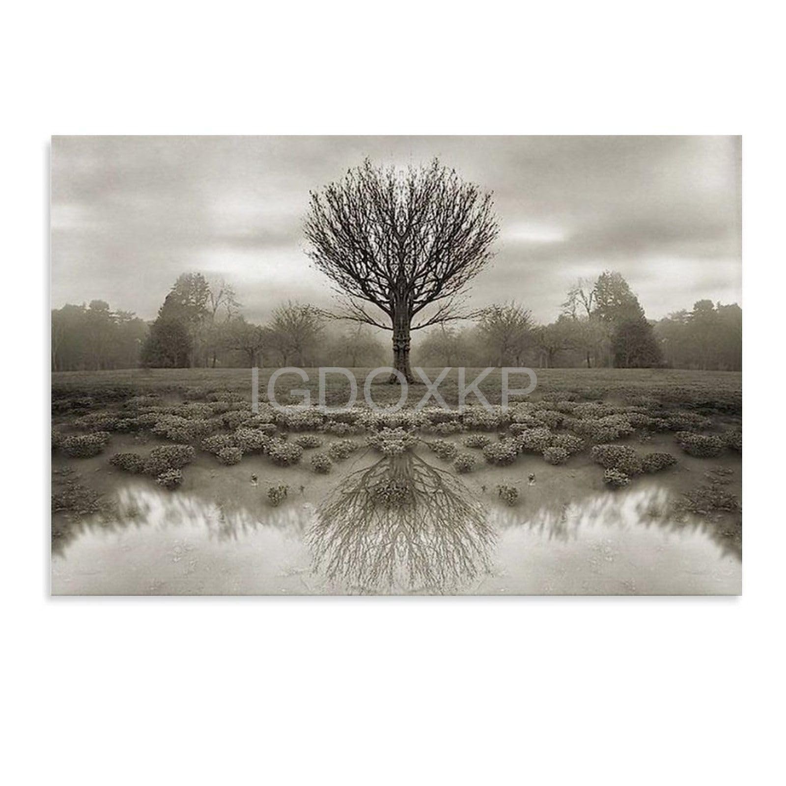 Alfred Stieglitz Landscapes