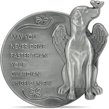 Amazon.com: GKG Heart Shaped Visor Clip for CAR/Automobile - You are ...