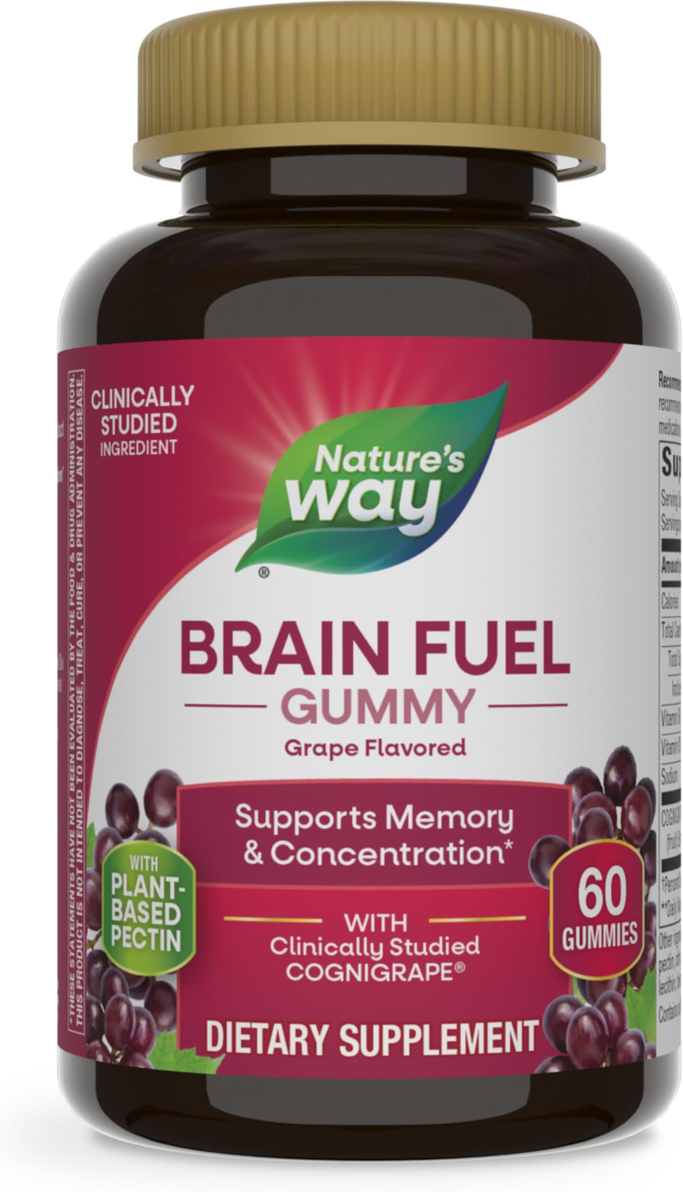 Amazon.com: Shroom IQ Brain Supplements for Memory and Focus ...