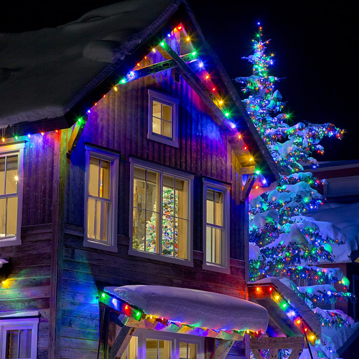 Snapklik.com : BORT 25 Pack C9 LED Replacement Christmas Light Bulb ...