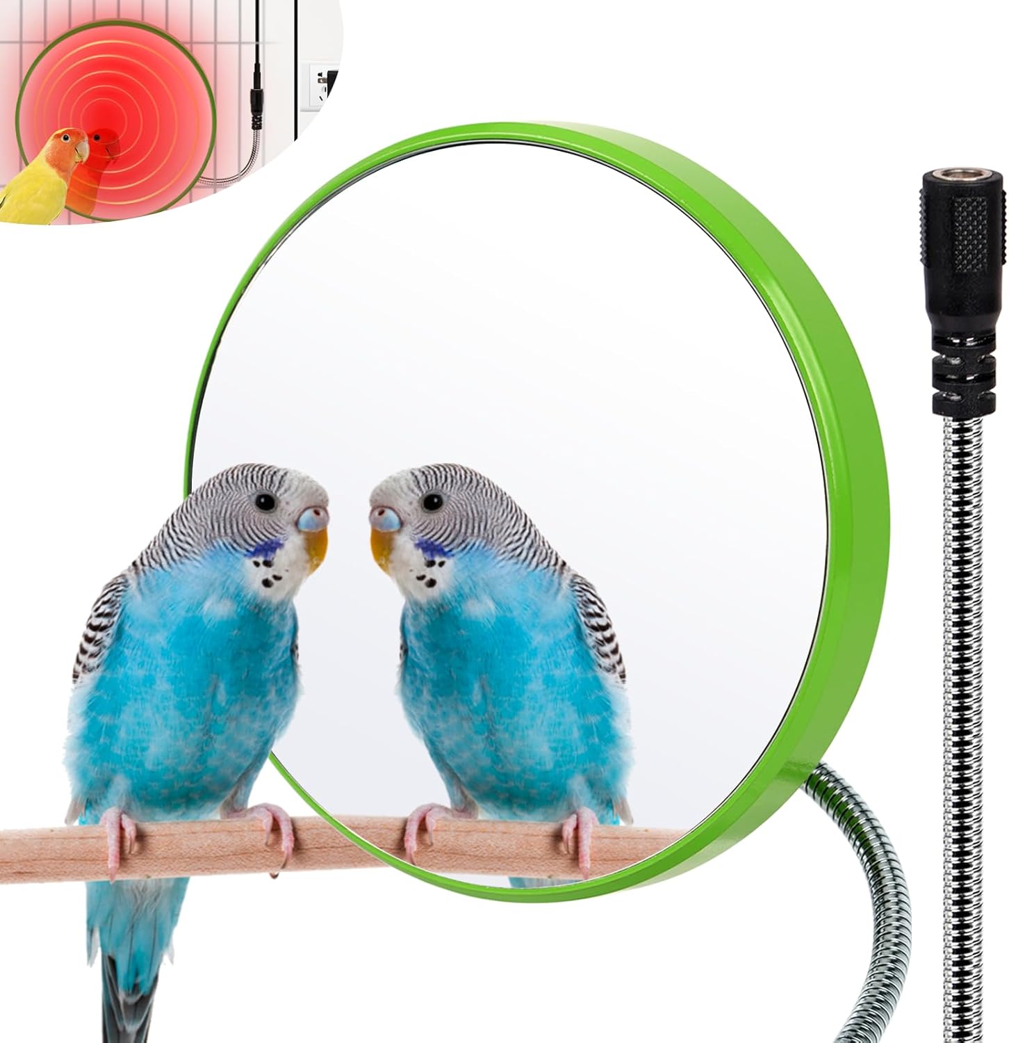 Bird Heater for Cage,Thermostatical Bird Warmer with Philippines | Ubuy