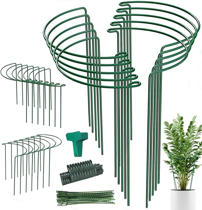 Amazon.com : 24 Pack Plant Support Stake, Half Round Metal Garden Plant ...