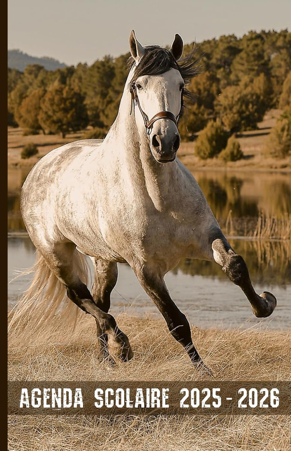 Agenda Scolaire 2025 2026 Cheval: Planificateur journalier garçon fille ...