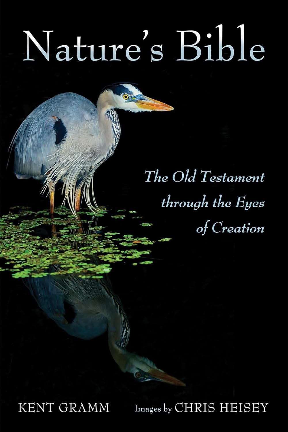 Nature's Bible: The Old Testament Through the Eyes of Creation: Gramm ...