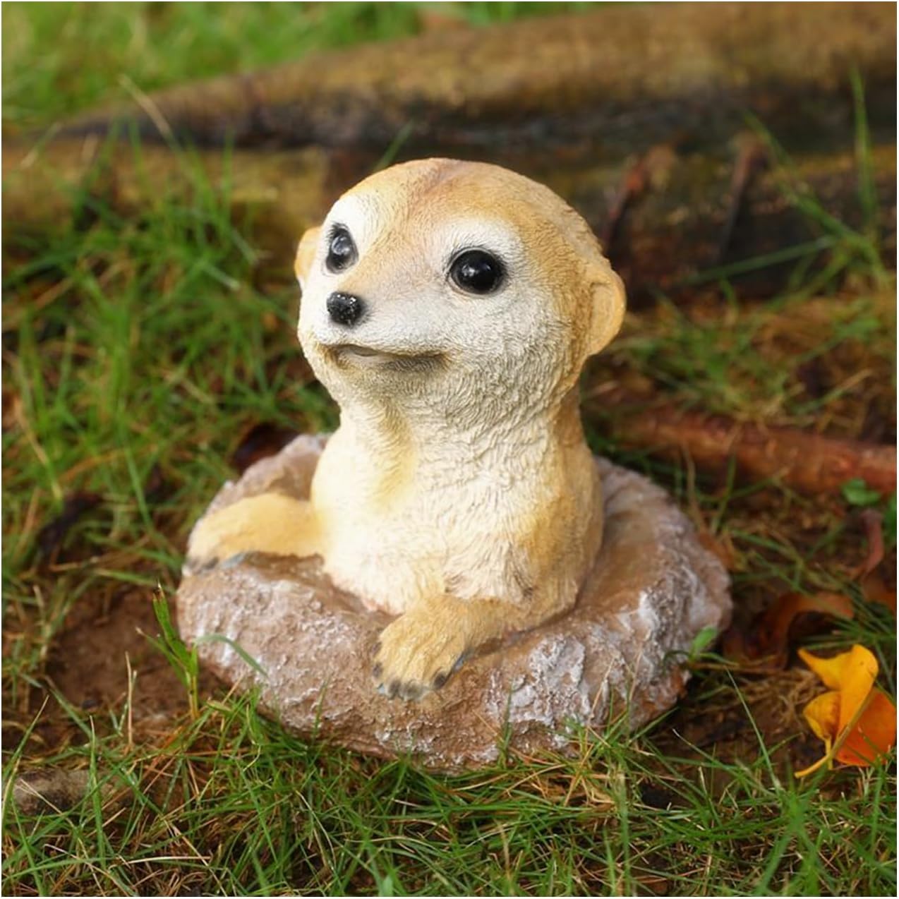 Amazon.com: BETYMAO Meerkat Garden Decor Cute Animal Statue Garden ...