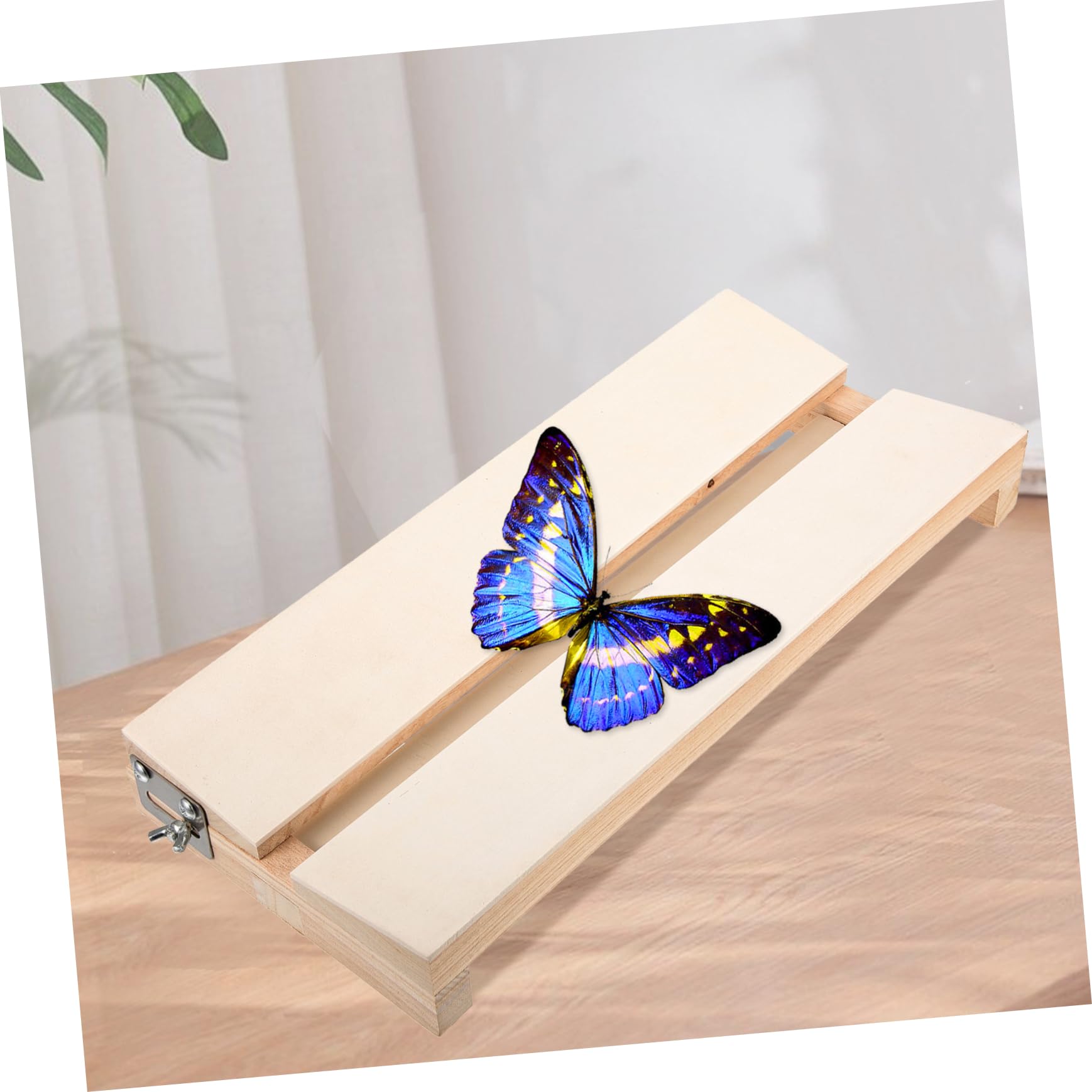 Science Experiment Equipment Butterfly Pinning Board - Insect Specimen ...