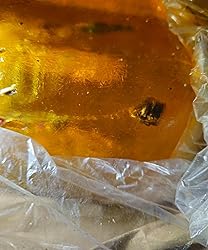 Amazon.com : Ballistics Target Practice Gelatin Block - 5 lbs ...