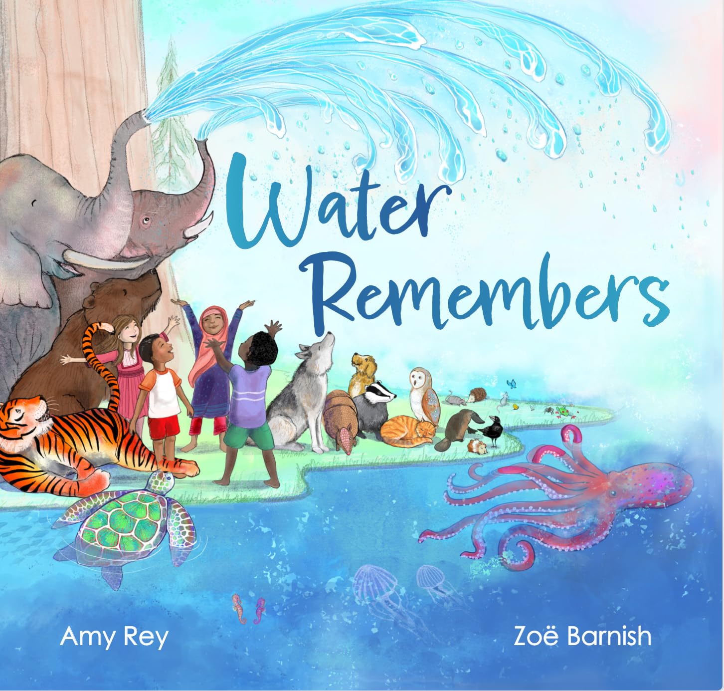 Water Remembers a picture book: Amy Rey: 9798991776998: Amazon.com: Books