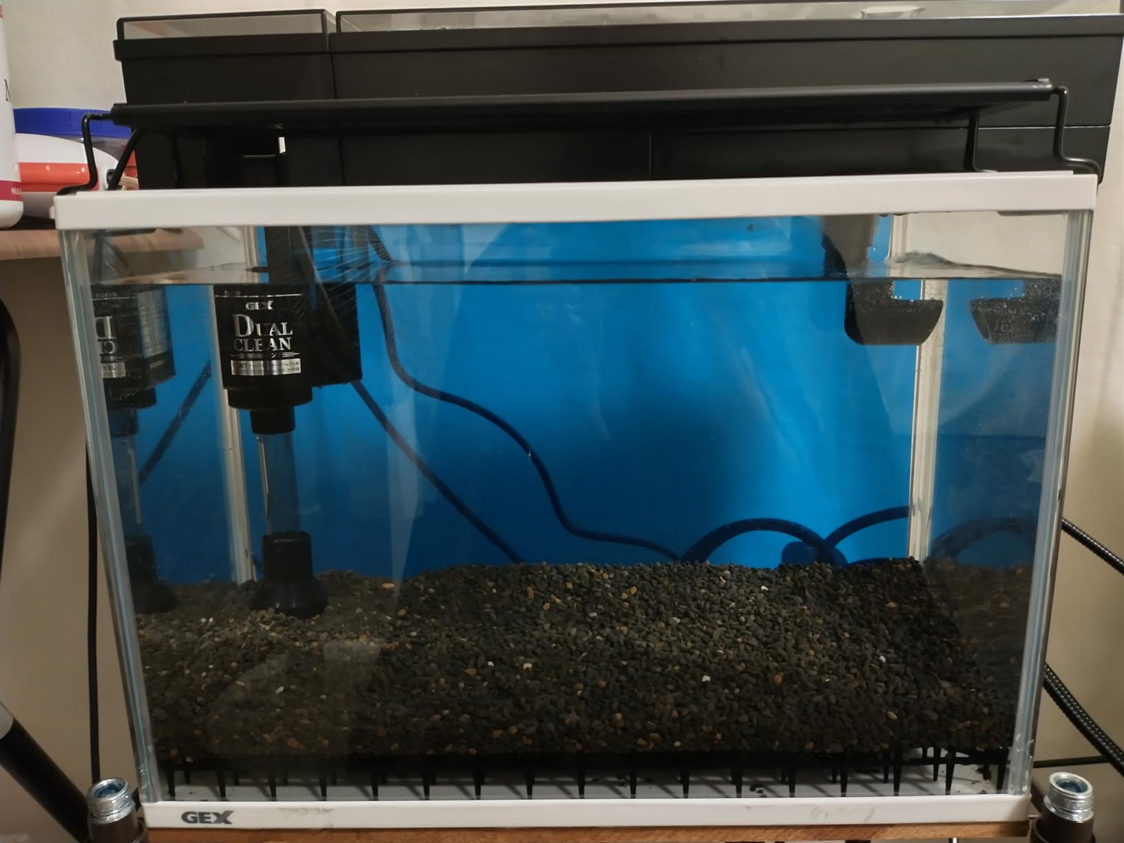 Amazon | GEX AQUA FILTER デュアルクリーンフリー DC-4560 静音水中ポンプ 2段階ろ過 45-60cm水槽用 上部フィルター ブラック | GEX | フィルター 通販