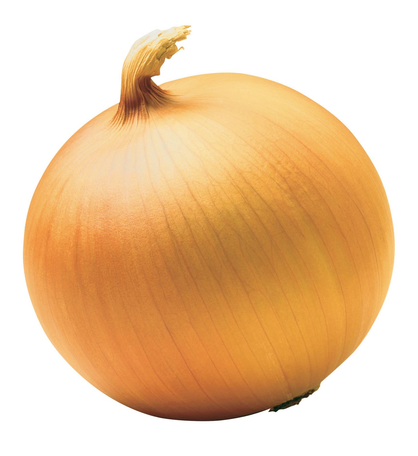 Texas Sweet Onion Seed