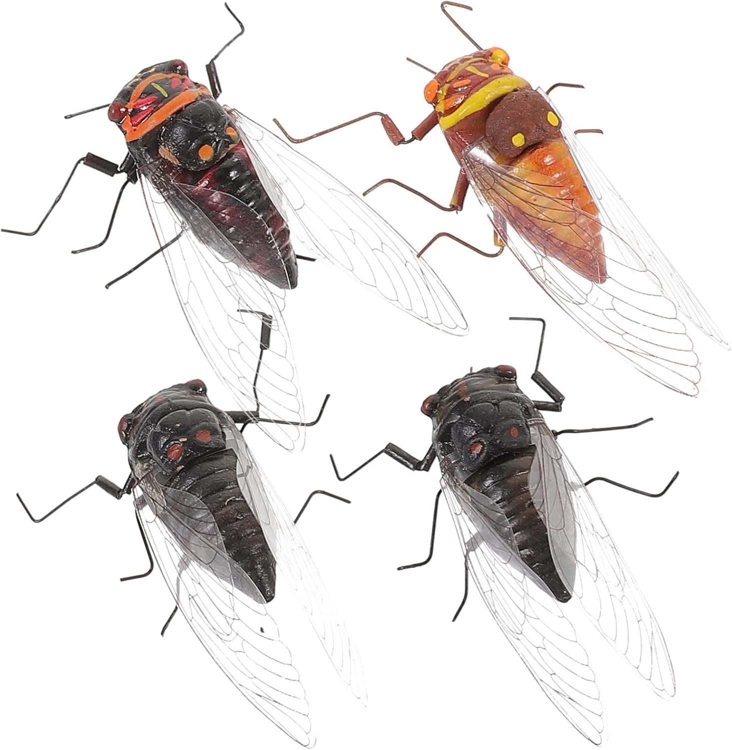 Amazon.com: Abaodam 4pcs Cicada Model Early Educational Toys Realistic ...