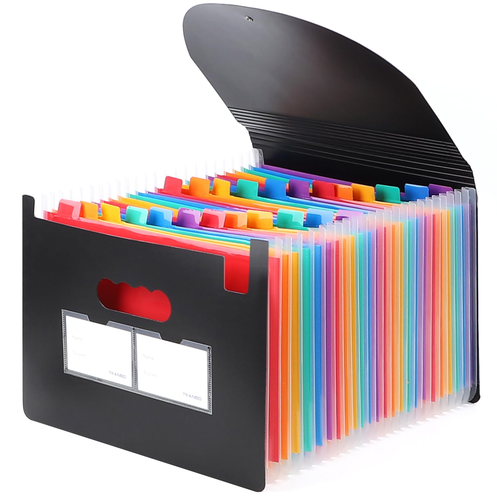 Amazon.com : Accordion File Organizer, 24 Pockets Expanding File ...
