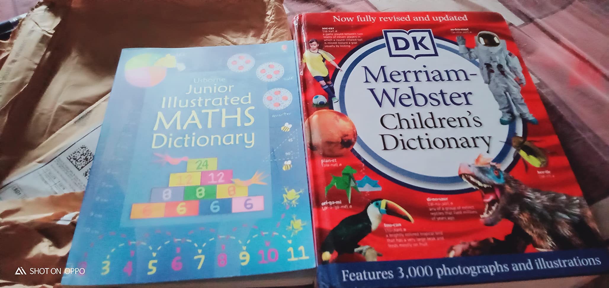 Junior Illustrated Maths Dictionary (Illustrated Dictionaries and ...