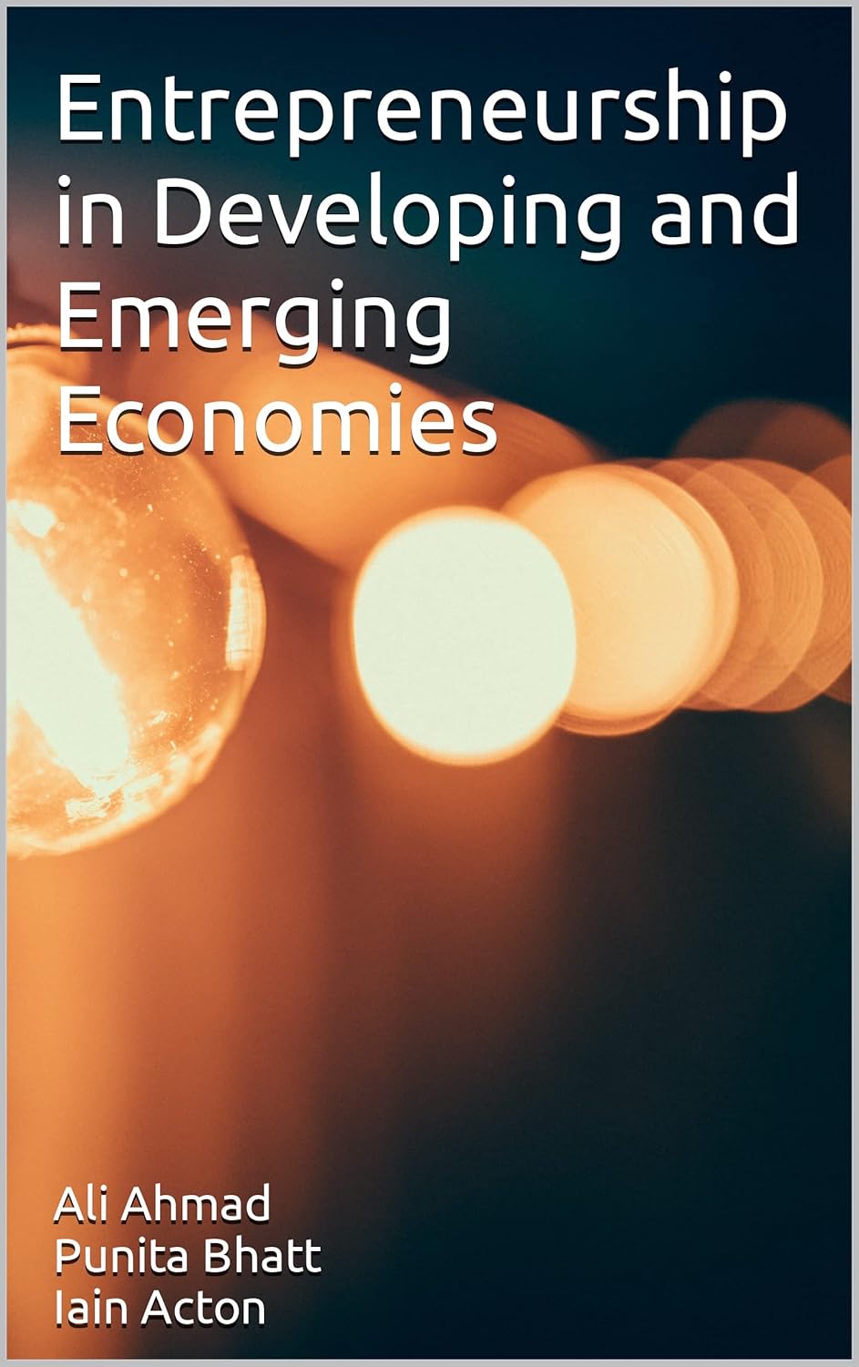 Entrepreneurship in Developing and Emerging Economies eBook : Ahmad ...