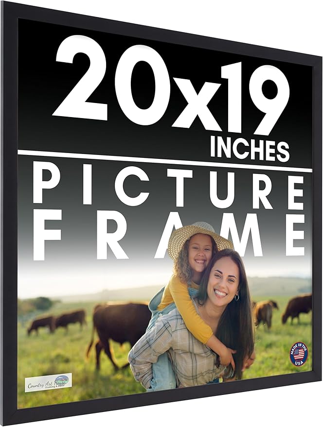 Amazon.com - 20x19 Frame Black Picture Frame - Complete Modern Photo ...