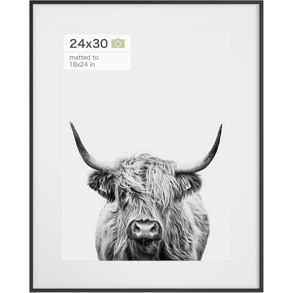 11-mo-finance-homeforia-24-x-30-picture-frame-black-premium-metal