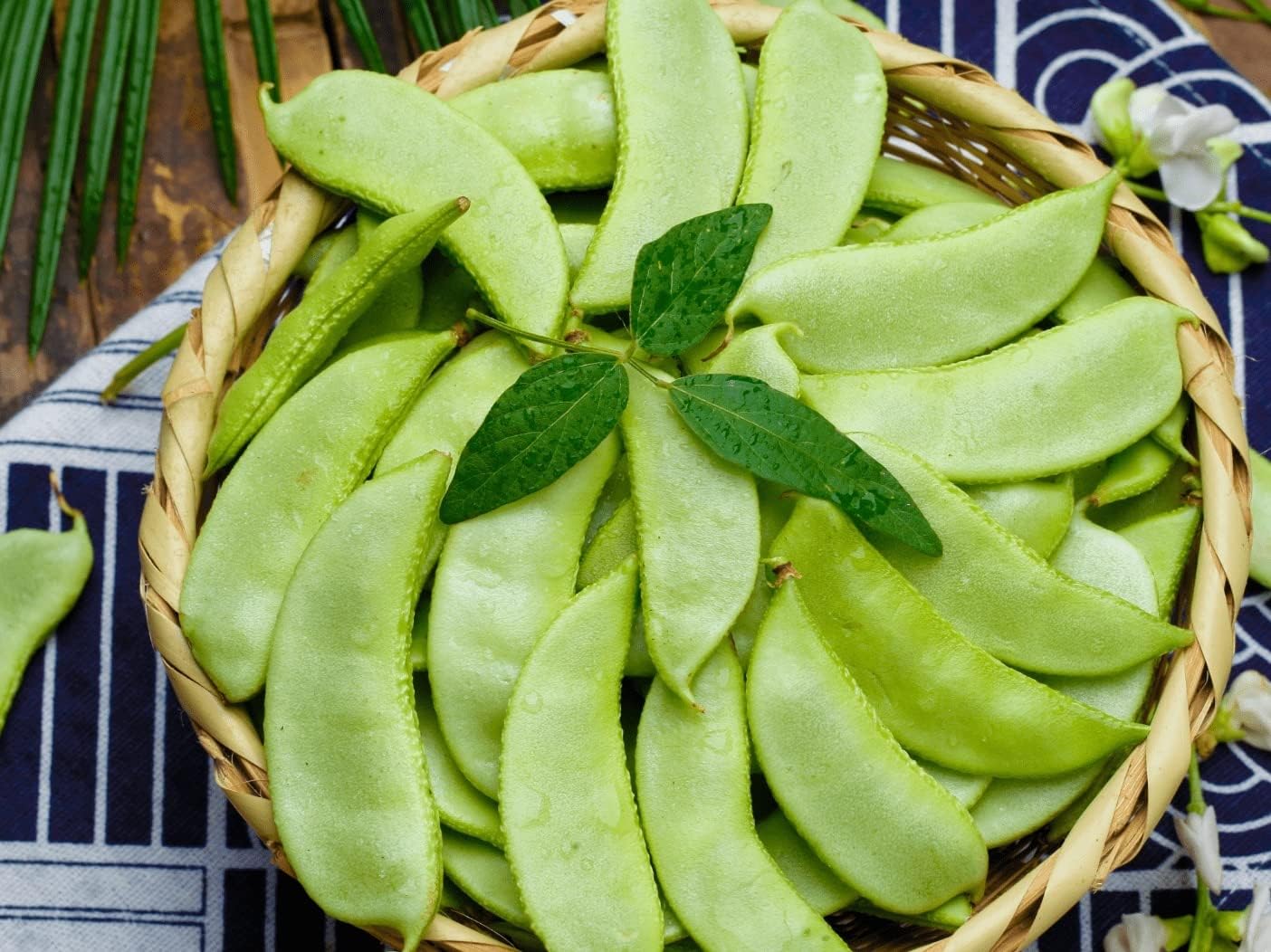 Three Mo Garden | Fresh Akhana Fujimame Hyacinth Bean Seeds - Green ...