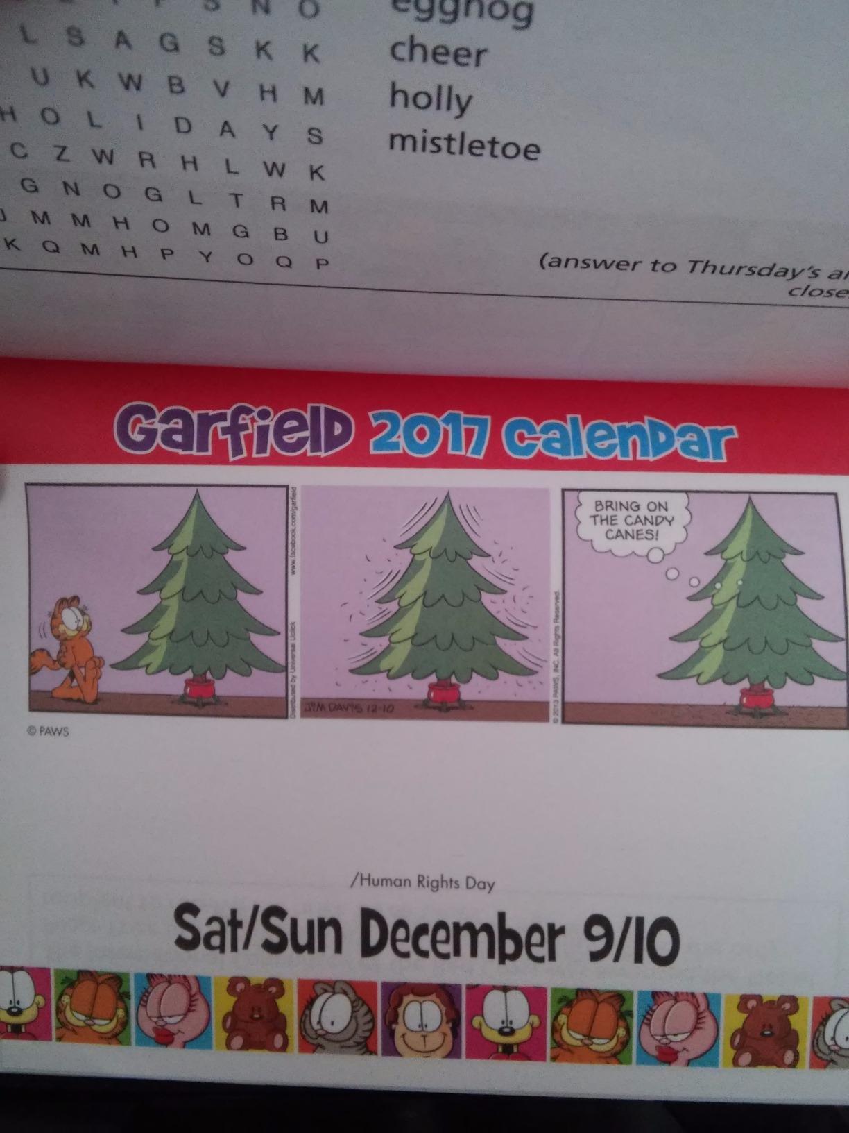 Garfield 2017 Day-to-Day Calendar: Davis, Jim: 9781449476793: Amazon ...