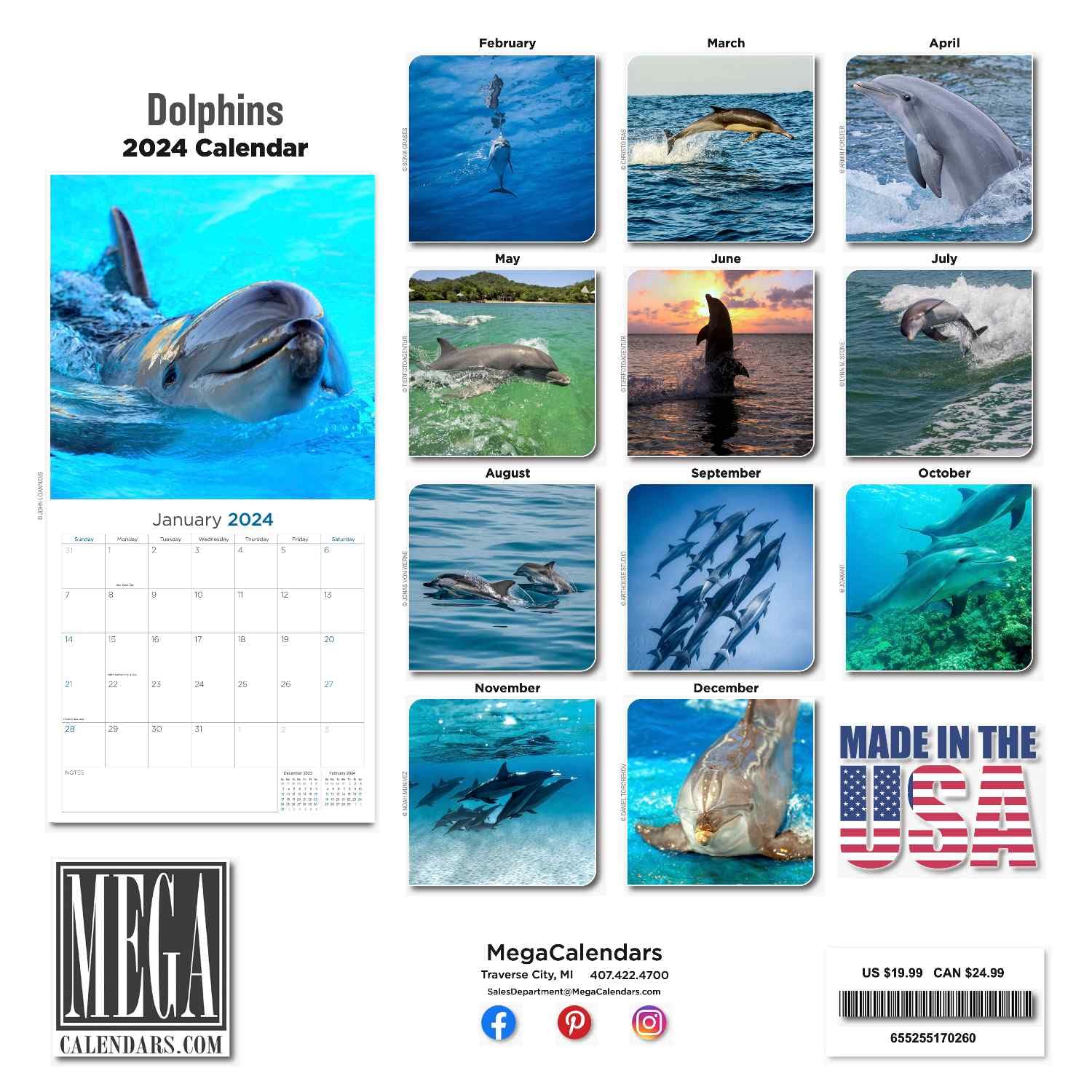 Snapklik.com : Dolphins Calendar 2024 - Dog Breed Wall Calendar