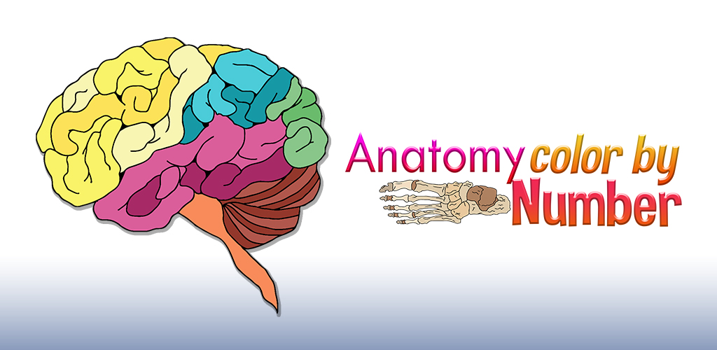 Human Body Color By Number Art - Anatomy Coloring Book:Amazon.com ...