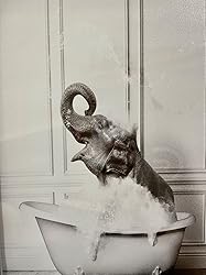 Amazon.de: JingHengone Tier Schwarz Weiß Wand Kunst Drucke Elefant Zebra Pinguine Giraffe ...