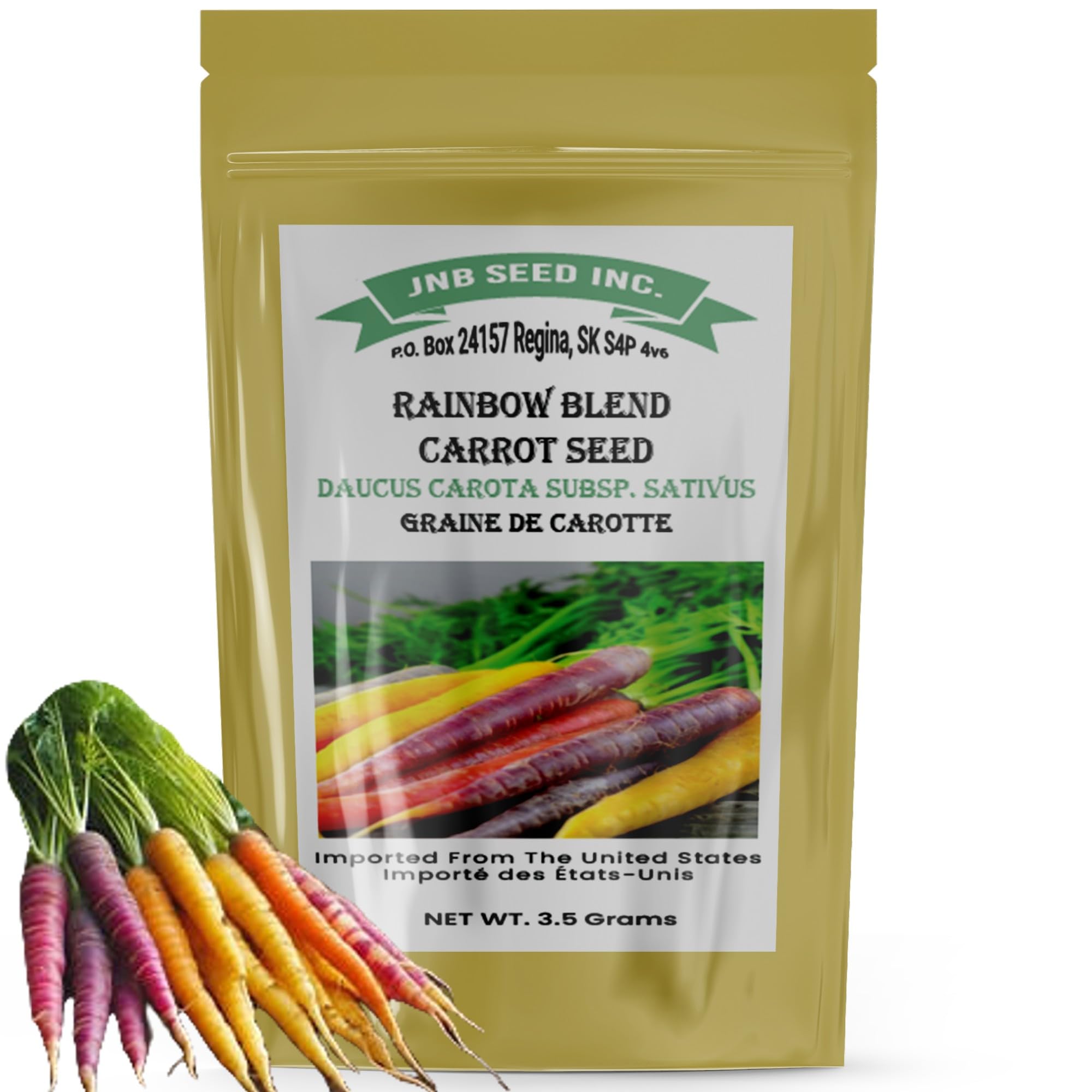 Rainbow Mix Carrot Seeds for Planting (Approx. 2100 Seeds-3.5 Grams ...