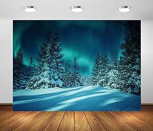 Amazon.com : BELECO 7x5ft Fabric Winter Forest Aurora Borealis Backdrop ...