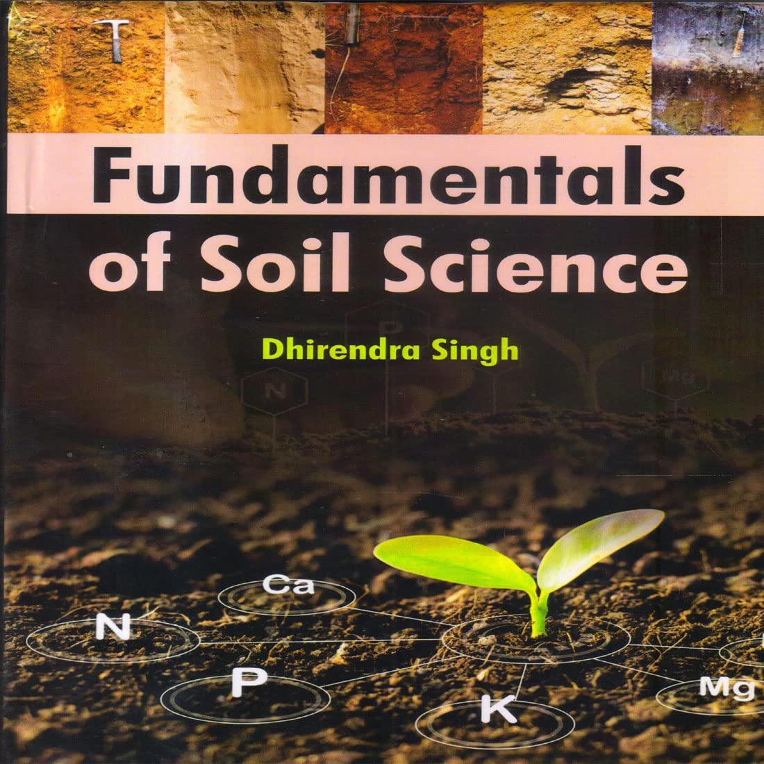 Fundamentals of Soil Science : Dhirendra Singh: Amazon.in: Books