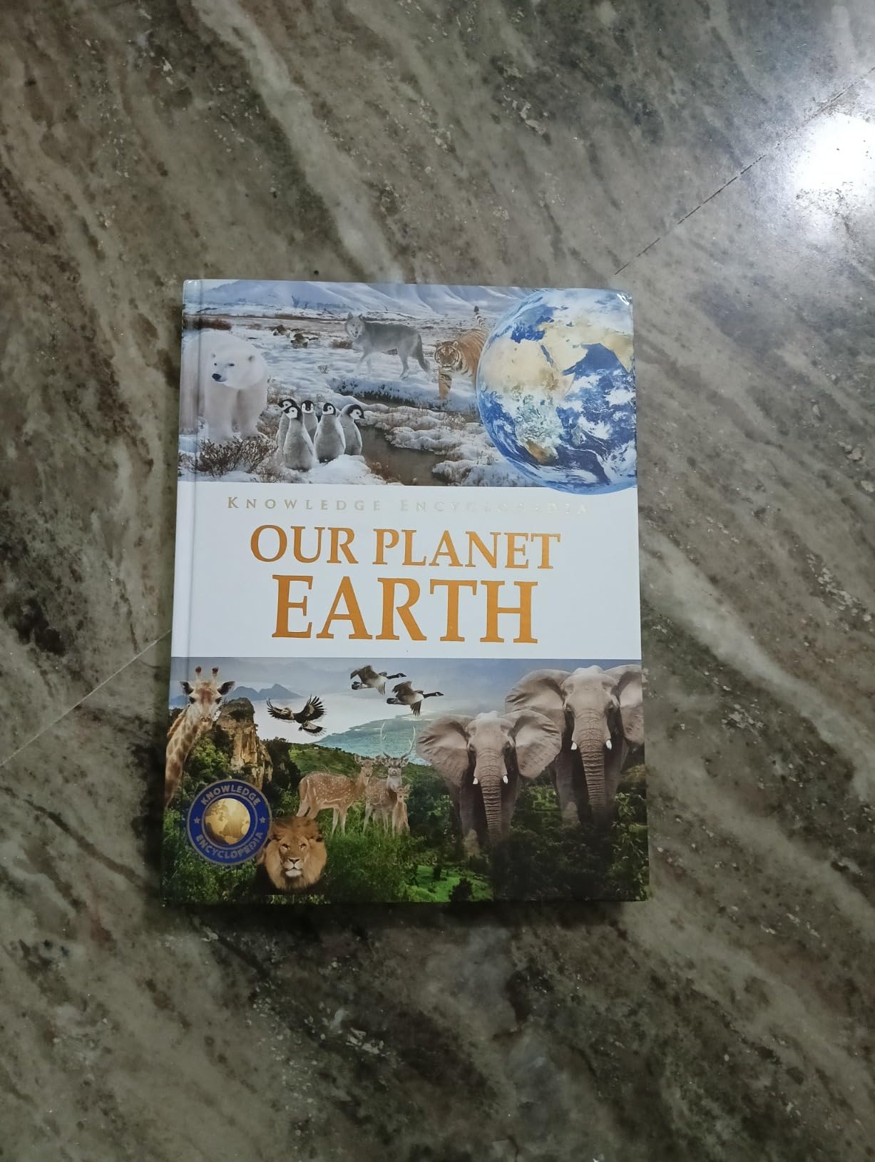 Knowledge Encyclopedia - Our Planet Earth : Wonder House Books: Amazon ...
