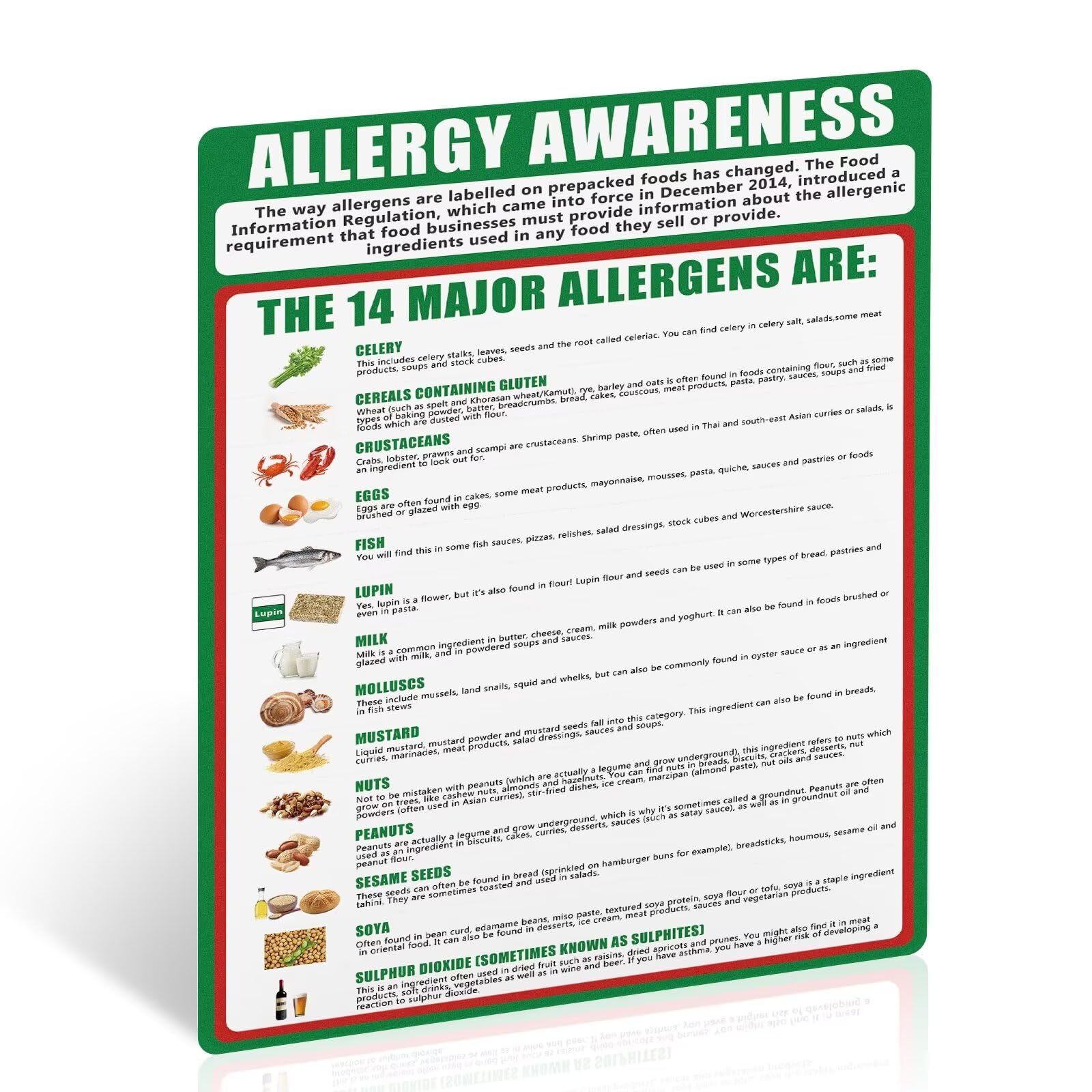 1pc Food Allergy Awareness Sign, 297 x 210mm, Self-Adhesive Vinyl ...