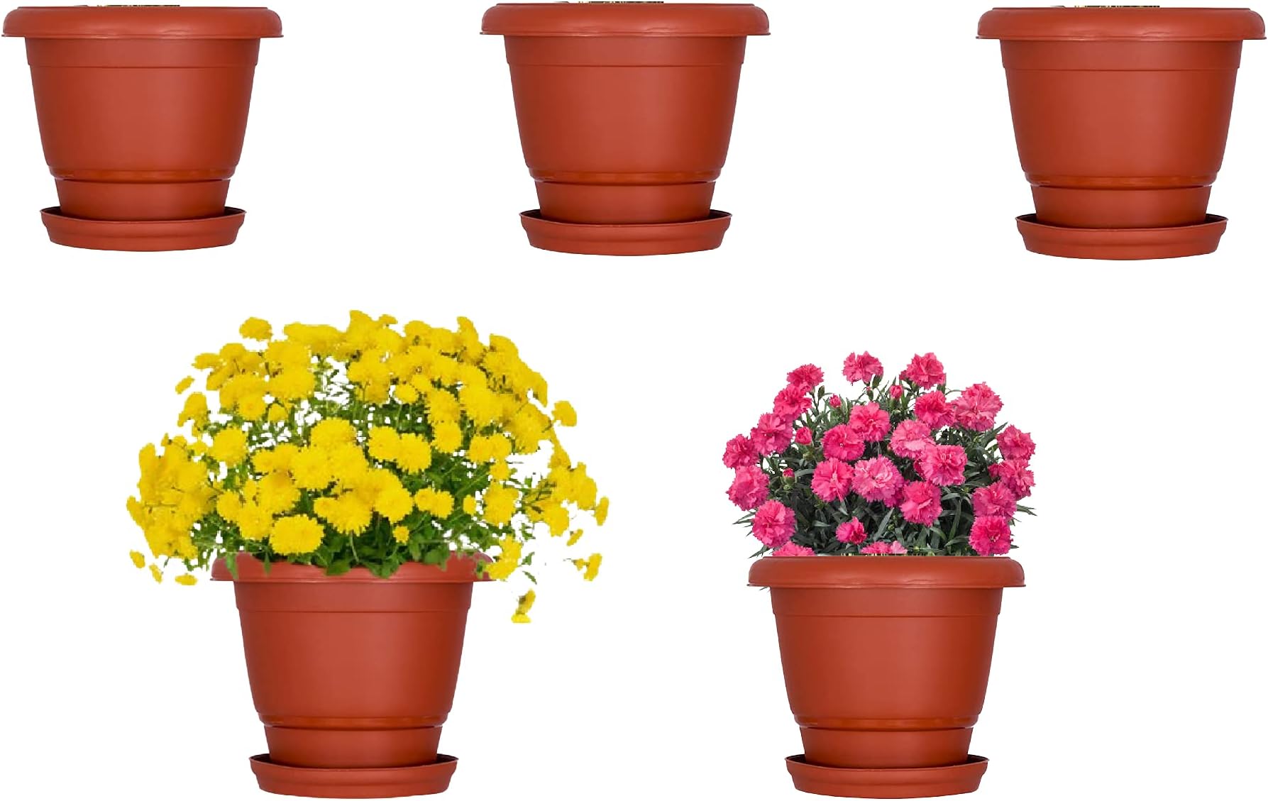 TrustBasket Terracotta pots with Bottom Plates - 3 Pcs (6 inch) | Gamla ...