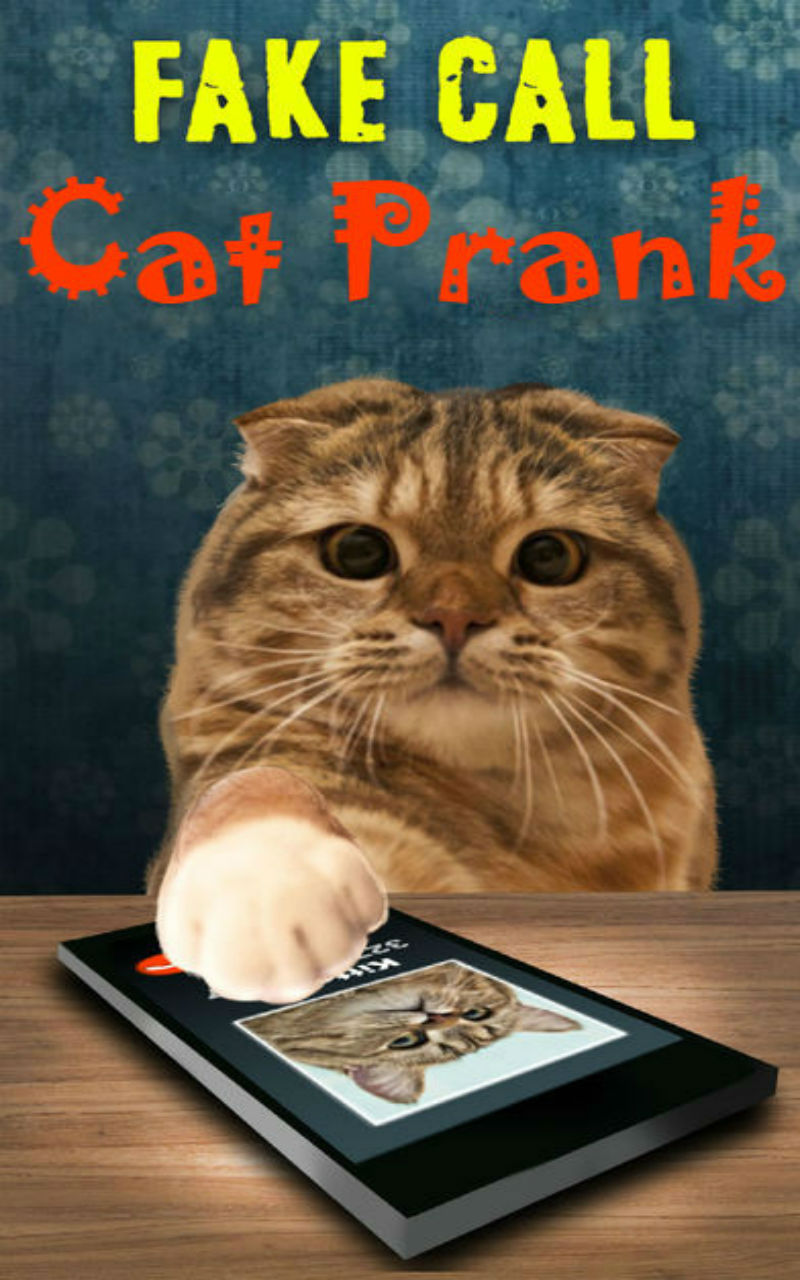 Fake Cat Call Prank - Fake Call from Cat Prank (Calling Prank from Cat ...