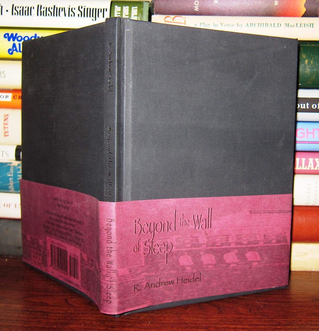 Beyond the Wall of Sleep: Heidel, R. Andrew: 9780966522402: Amazon.com ...