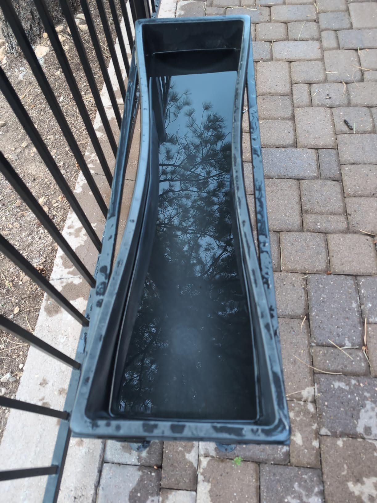 Amazon.com: BUYYAH 11 Gallon Water Trough, 39" Long Livestock Feeding ...