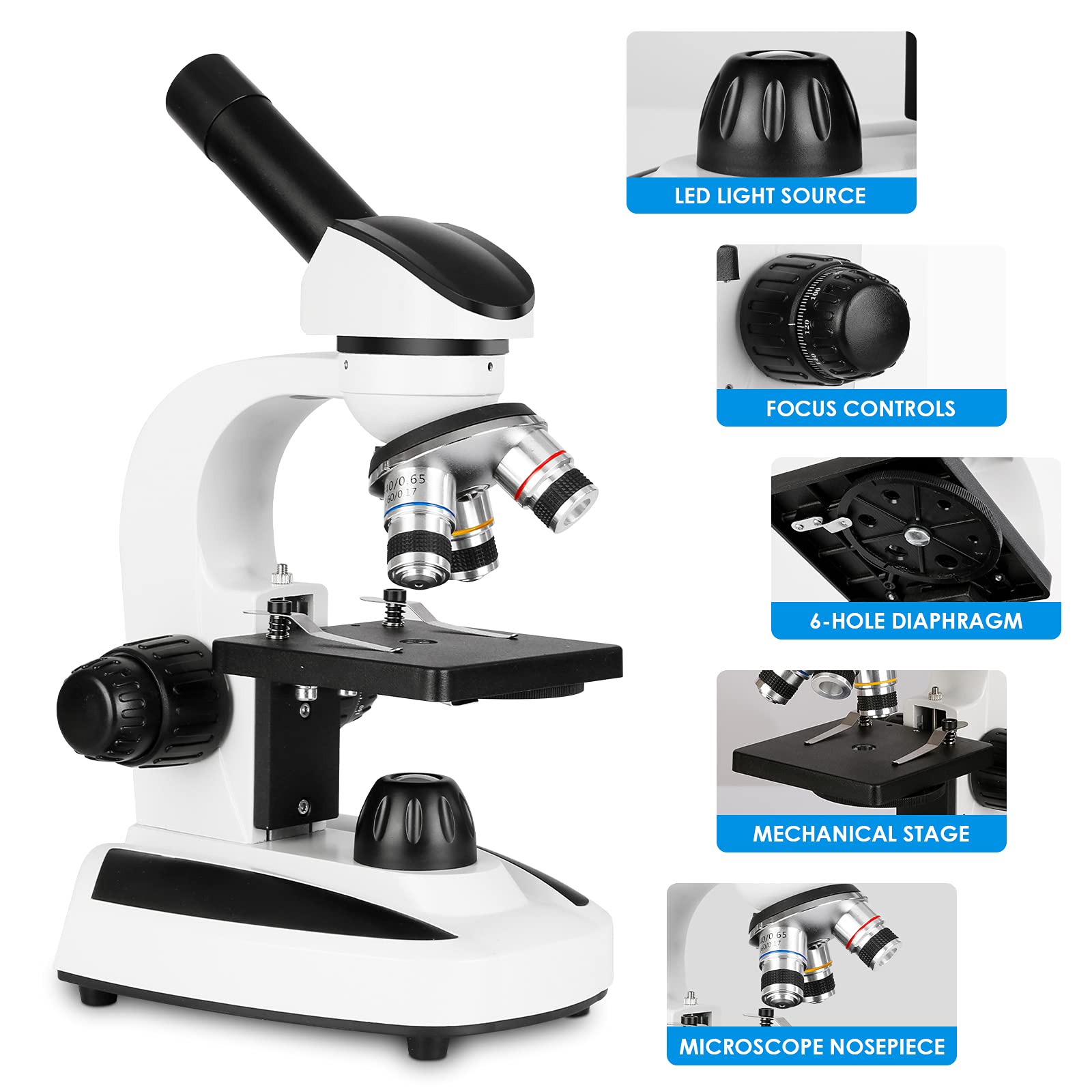 Buy Microscope for Students & Kids 40X-1000X, Chargable Compound ...