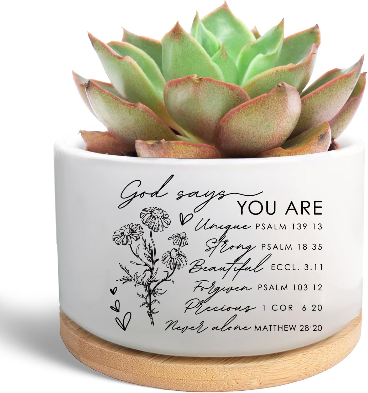 Amazon.com : WSLCHOVE Gardening Christian Gifts for Women Friend ...
