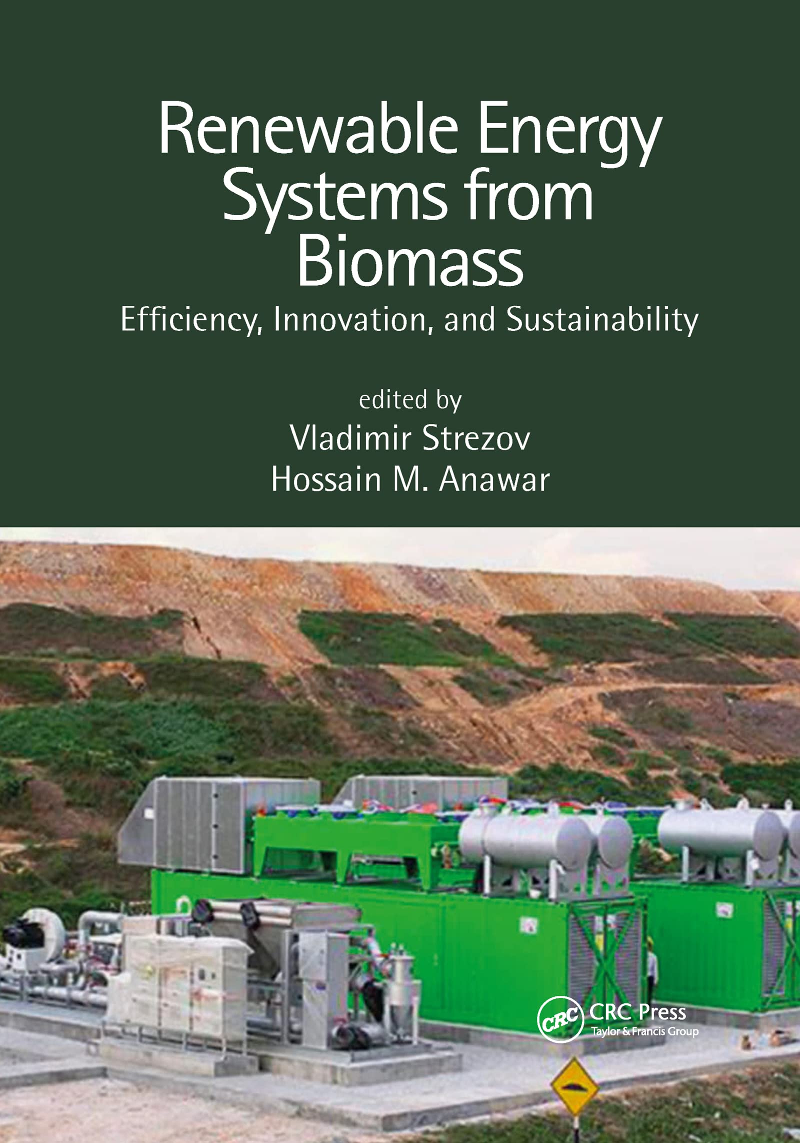 Renewable Energy Systems from Biomass: Efficiency, Innovation and ...