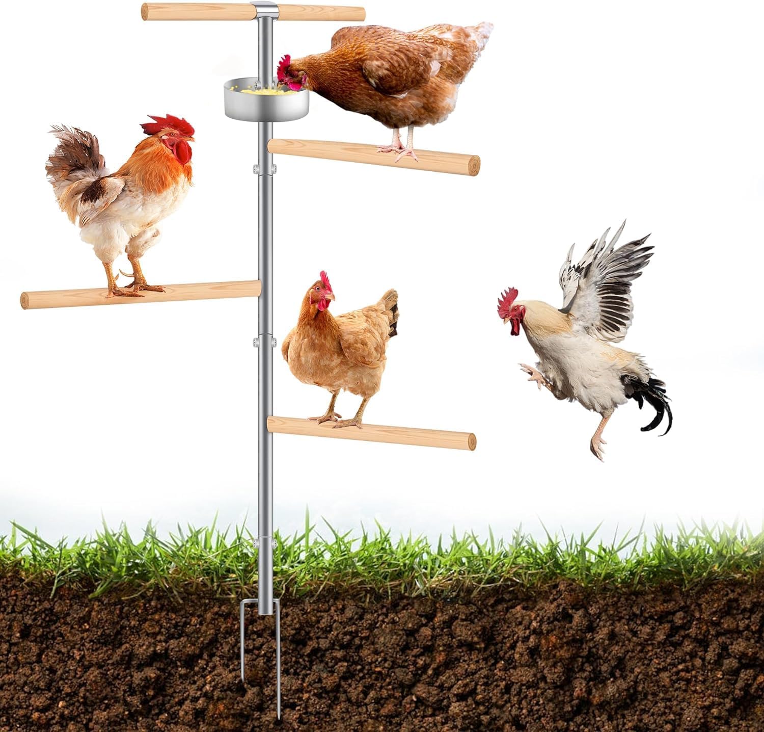 Amazon.com: Chicken Perch for Coop with Trough, Chicken Roost 32mm ...