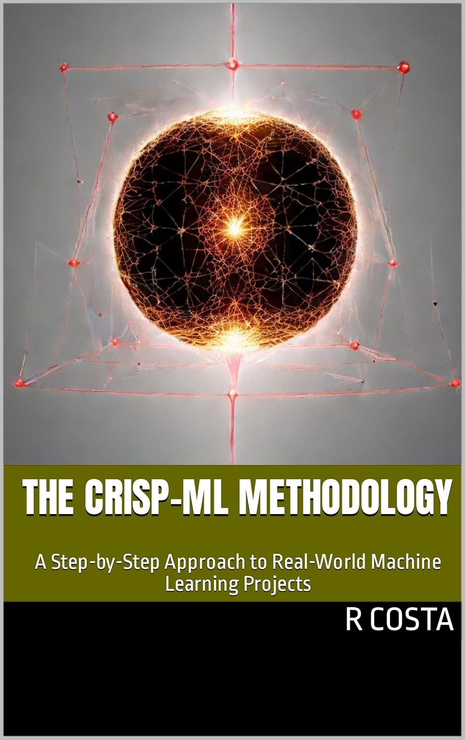 Amazon.com: The CRISP-ML Methodology: A Step-by-Step Approach to Real ...
