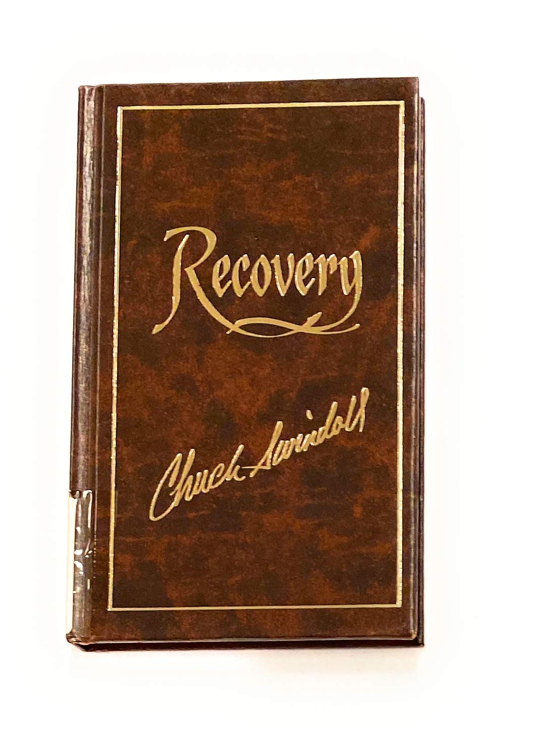 Recovery: When healing takes time (Lifemaps): Swindoll, Charles R ...