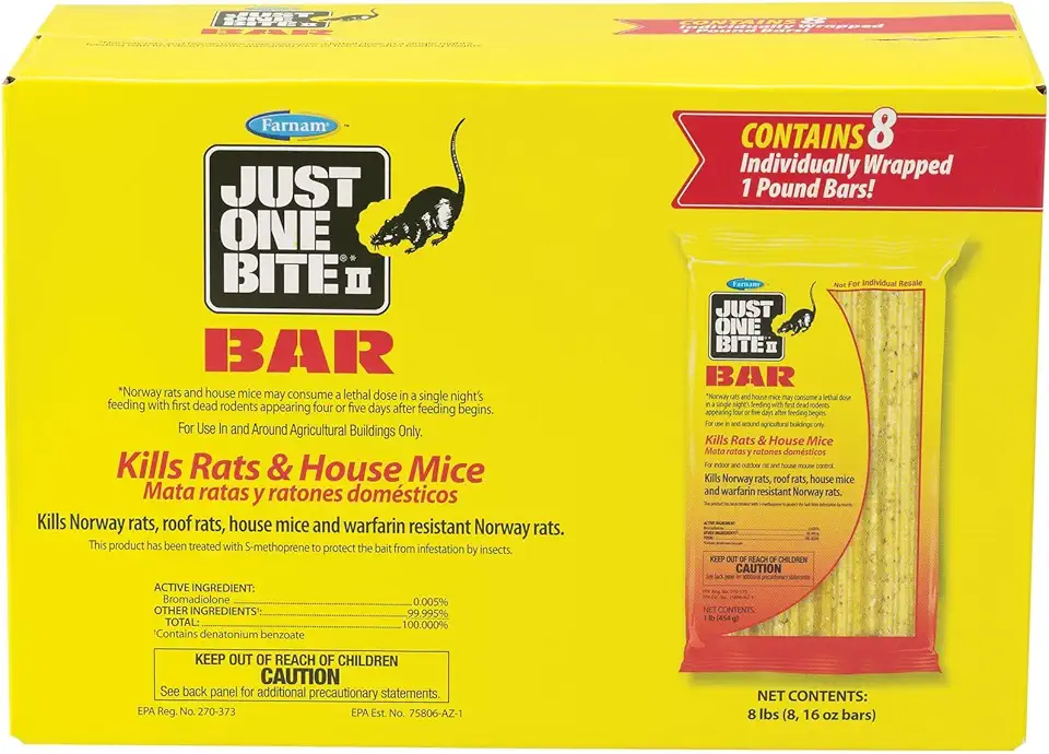 The Truth About Rats: Debunking The Dirty Stereotype | PetShun