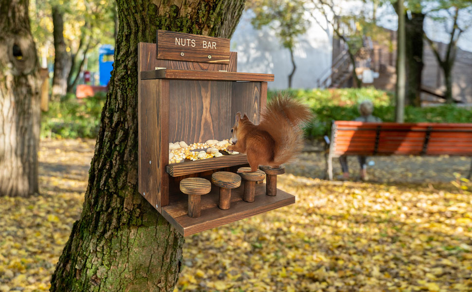 Watch squirrel feeder bar on Amazon Live