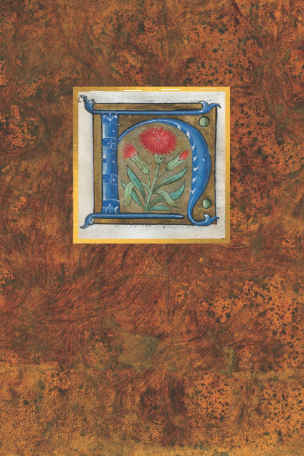 Amazon.com: H Illuminated Medieval Initial Journal: An Alphabet ...