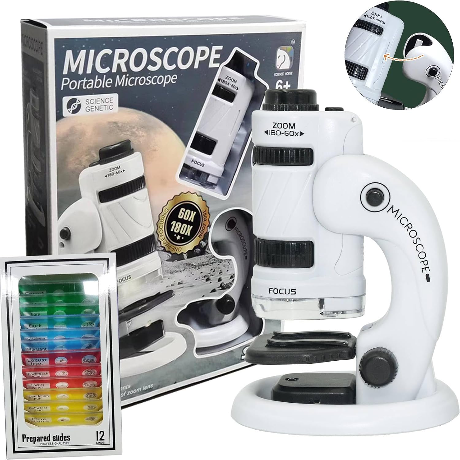 Amazon.com: Pocket Microscope for Kids 60X-180X Kids Microscope ...
