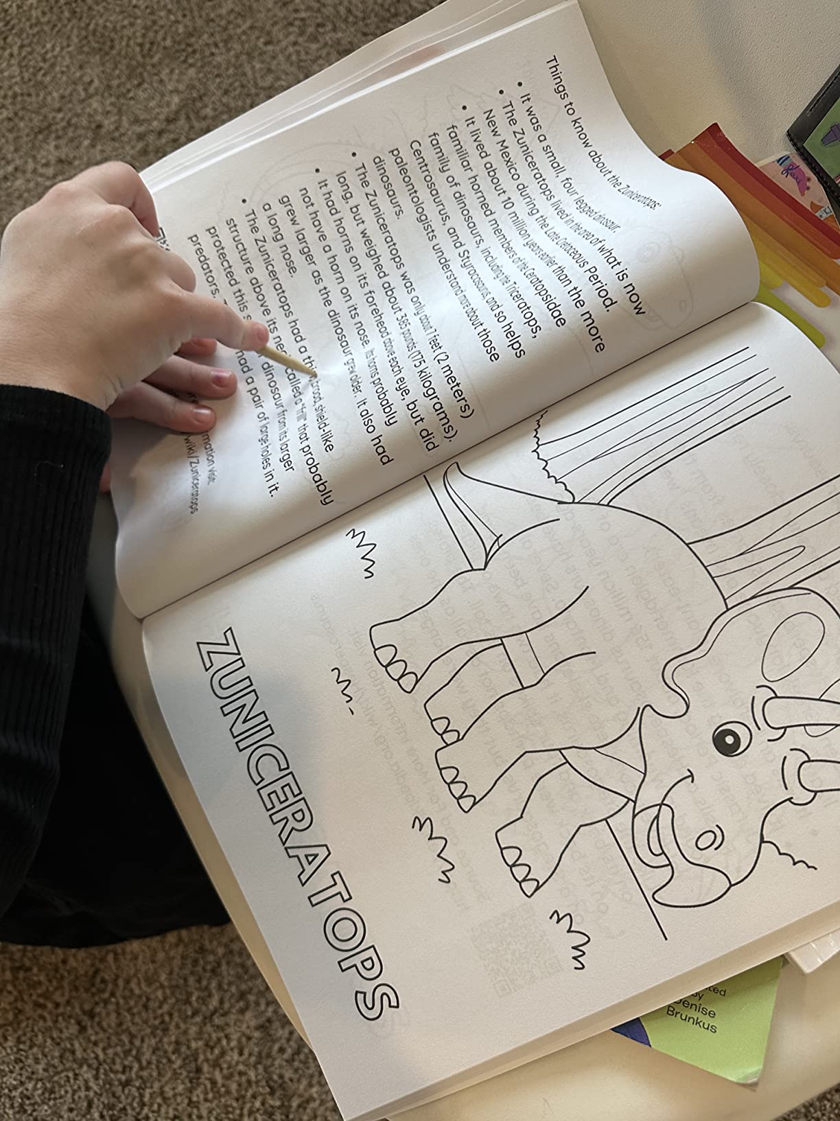 Dinosaurs Coloring Book: For Kids Ages 4 to 8+ With Interesting ...